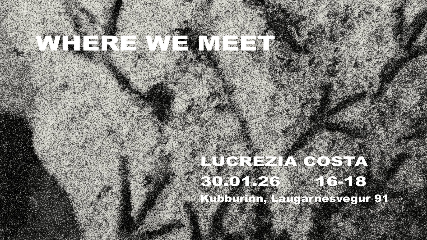 Where we meet // Lucrezia Costa | Iceland Academy of the Arts